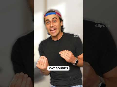Why do cats purr??