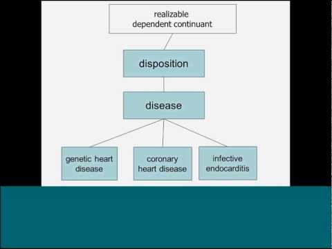 Disease, Diagnosis, Signs and Symptoms (2013)