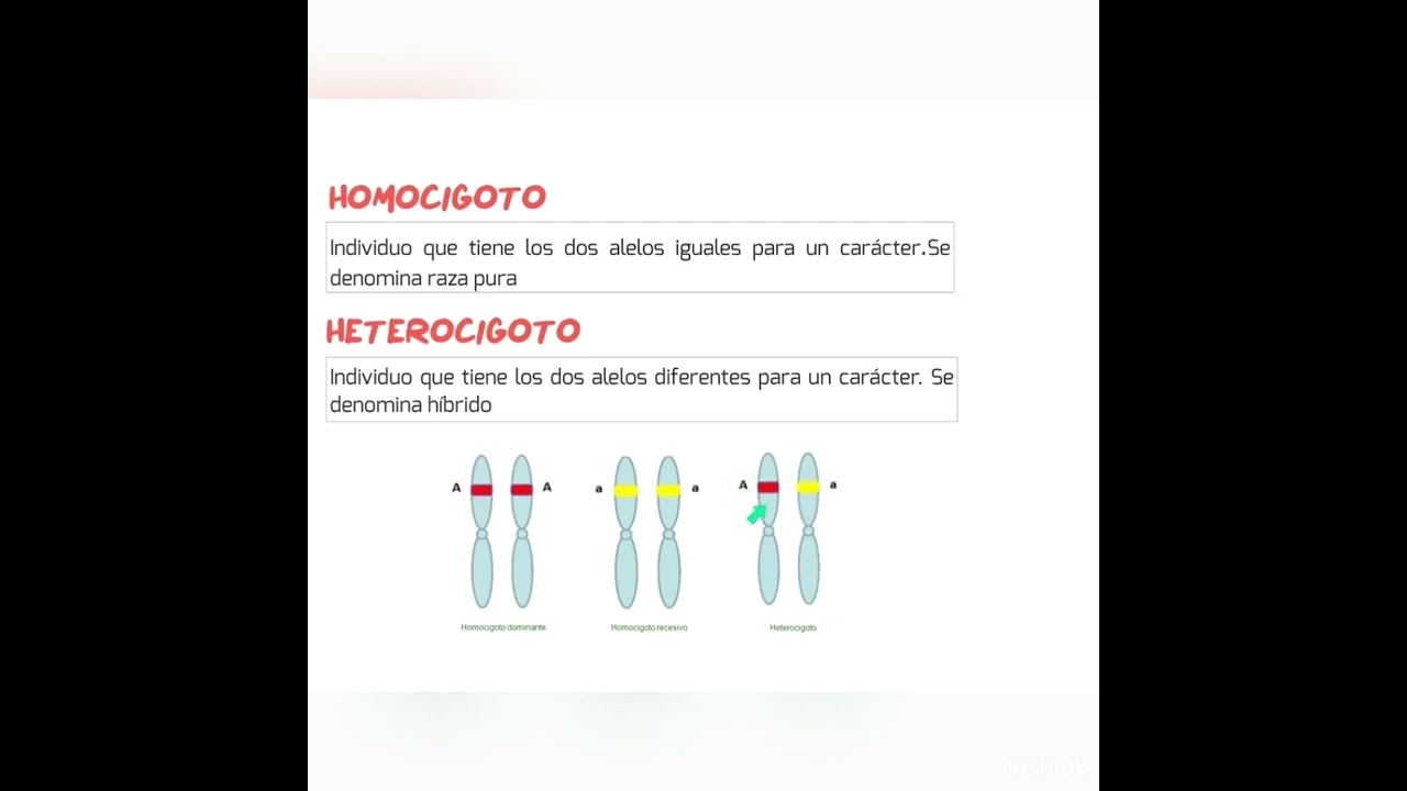VÍDEO LECCIÓN I  CONCEPTOS BÁSICOS DE GENÉTICA