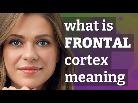 Frontal cortex | meaning of Frontal cortex