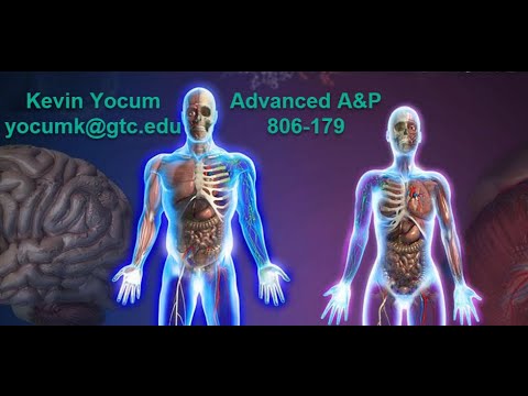Competency 2: Endocrine
