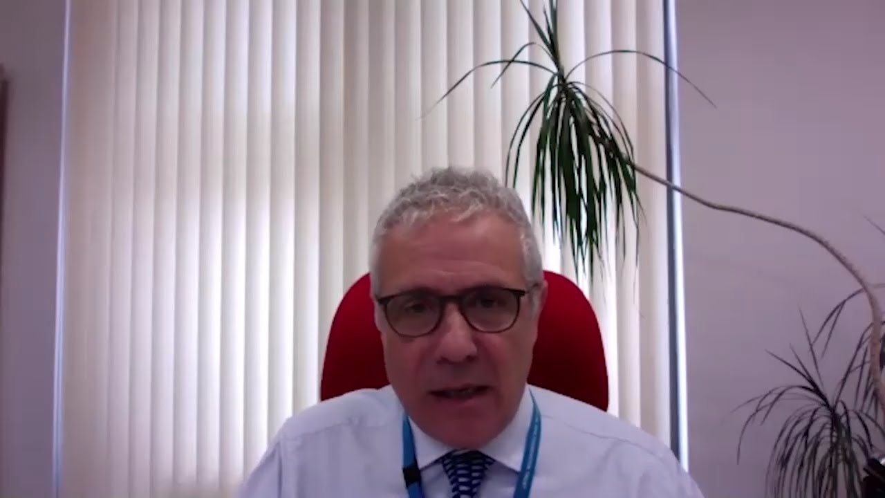 Mesenchymal stem cells in 2020