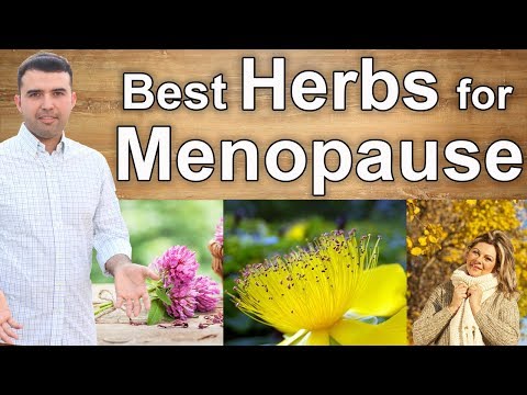 Best Herbs for Menopause - The Benefits of Chasteberry, Black Cohosh and More for Menopause