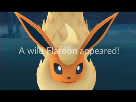 A Wild Flareon Has Appeared! Can Jonno Catch It?!