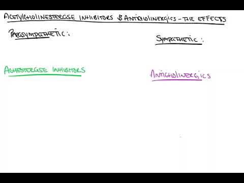 The Effects of Acetylcholinesterase Inhibitors and Anticholinergics