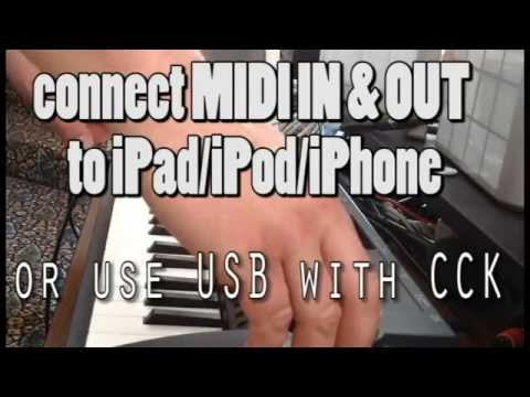 MPC-Style Korg MicroSAMPLER with MIDI Designer iApp