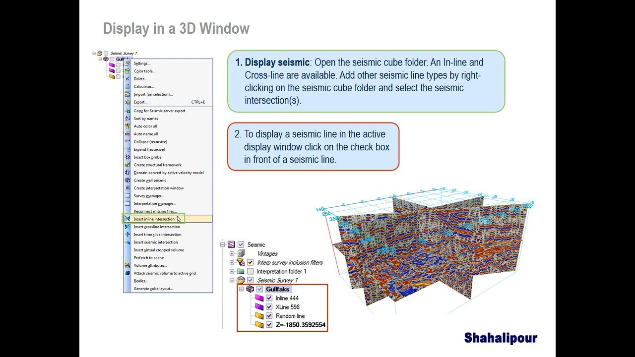 Seismic Visualization