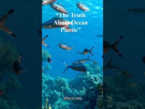 “How Plastic Affects Sea Life: The Hidden Danger”
