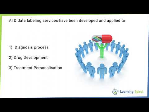 Role of Data Labeling Services in the Medical Sector