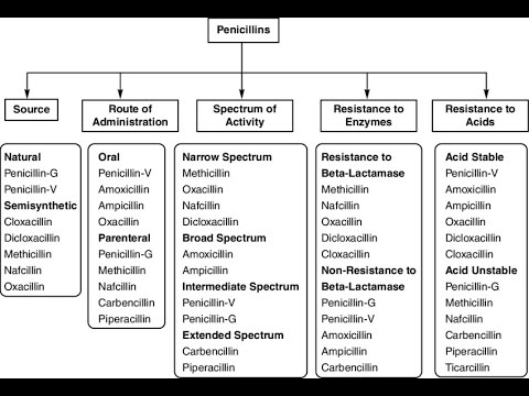 Broad Spectrum Penicillins ; beta lactam antibiotics that are effective against both gram positive