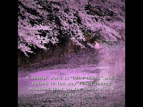 April 10th Did you know that the rain that scatters the cherry blossoms has a name
