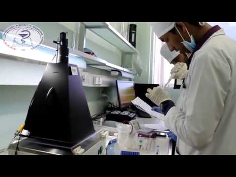 The stages of the PCR-analysis method, using as an example the MycN gene