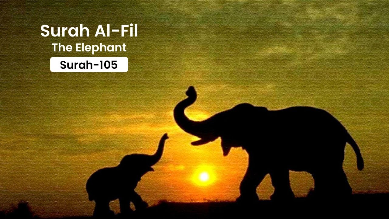 105 Surah Al Feel The Elephant Mishary Rashid Alafasy Beautiful ...