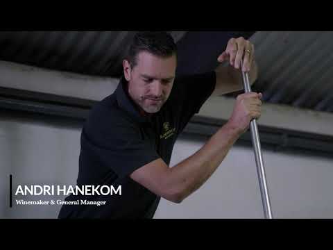 Bloemendal Wine Estate 2021 Introduction