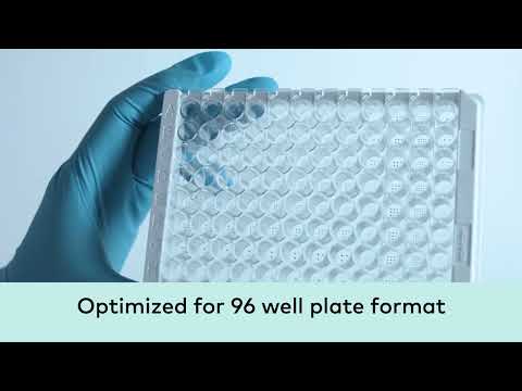 sciREADER colorimetric and fluorescence plate reader. Single well and microarray multiplex format.