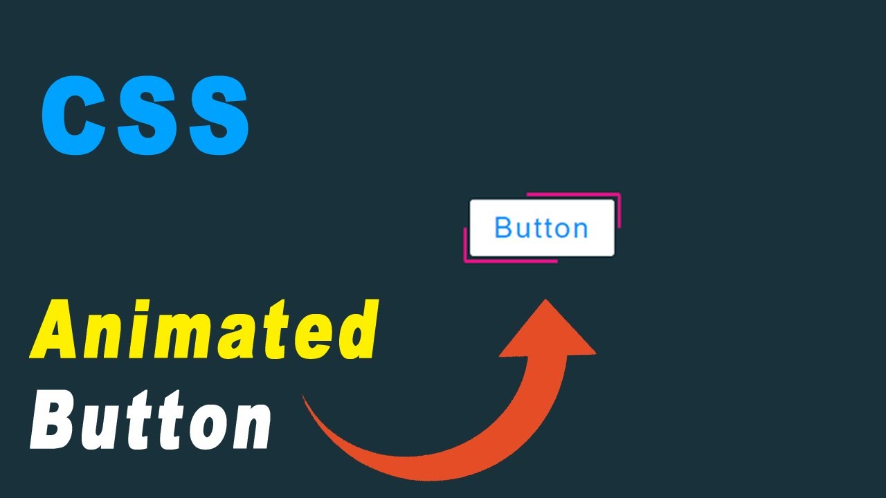 Animated CSS Button | HTML & CSS Tutorial | Learn Web