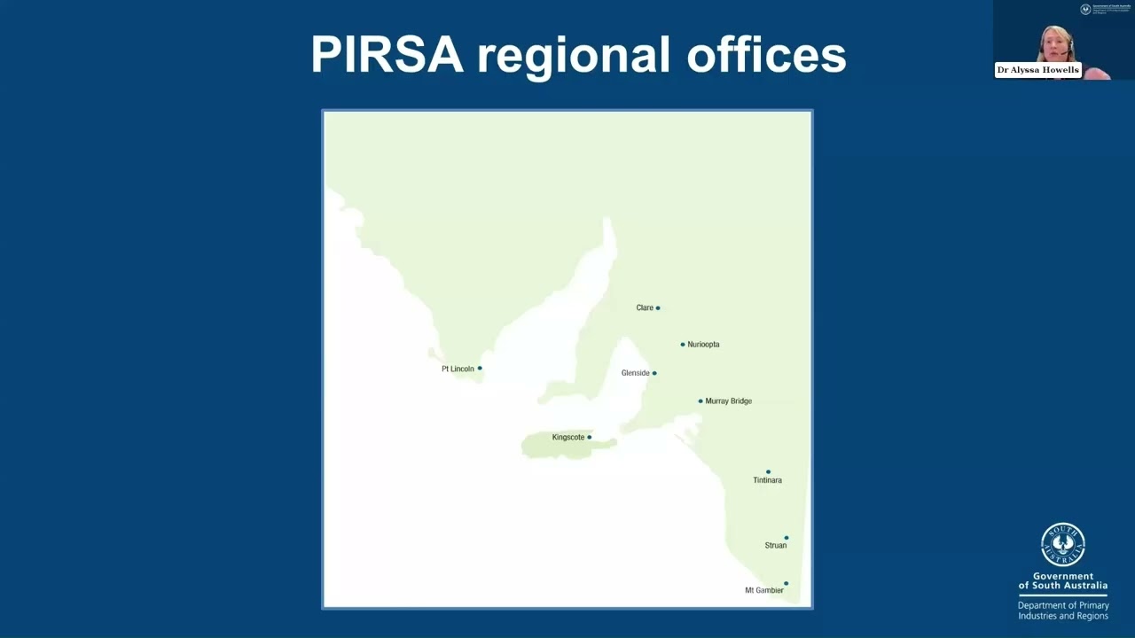 Reporting disease and working with PIRSA
