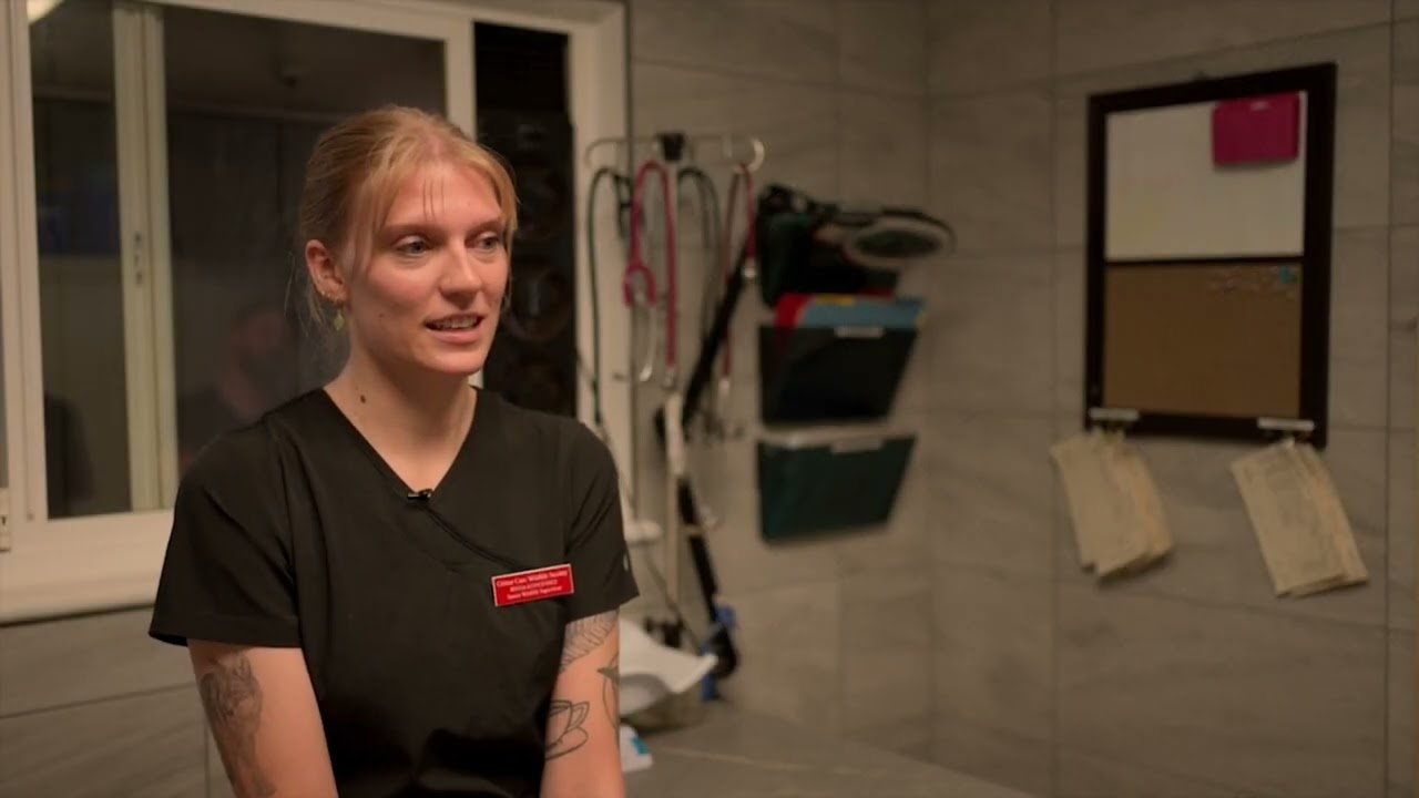 Trailer  - Inside Critter Care’s Mission for BC Wildlife
