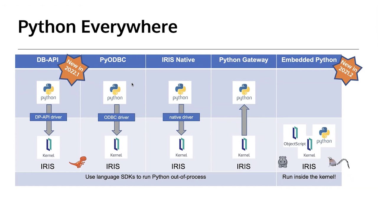 InterSystems IRIS Tech Talk: Python