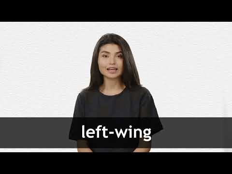 LEFT-WING definition and meaning | Collins English Dictionary