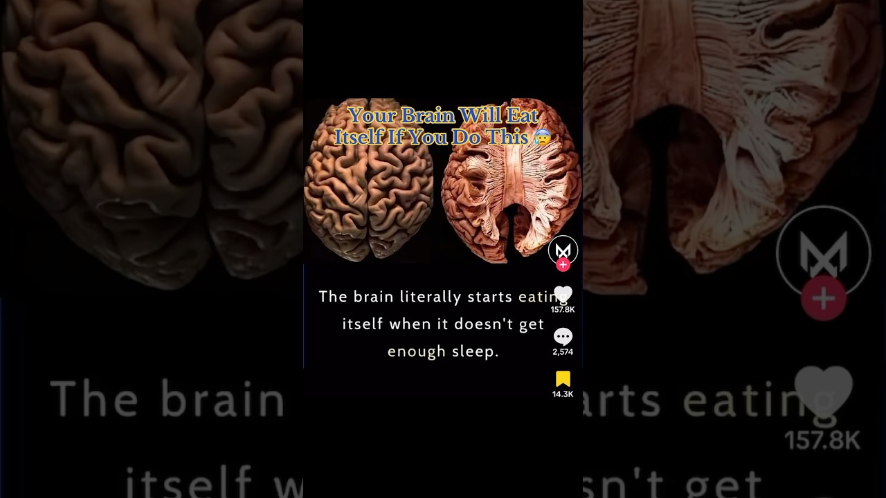 Your Brain Will Eat Itself If You Do This 😰 #disturbing