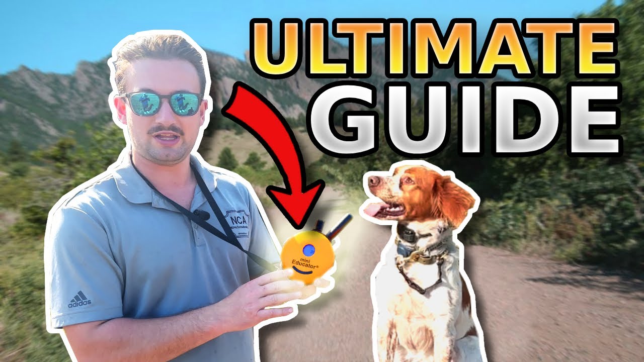 The ULTIMATE E-Collar Training Guide