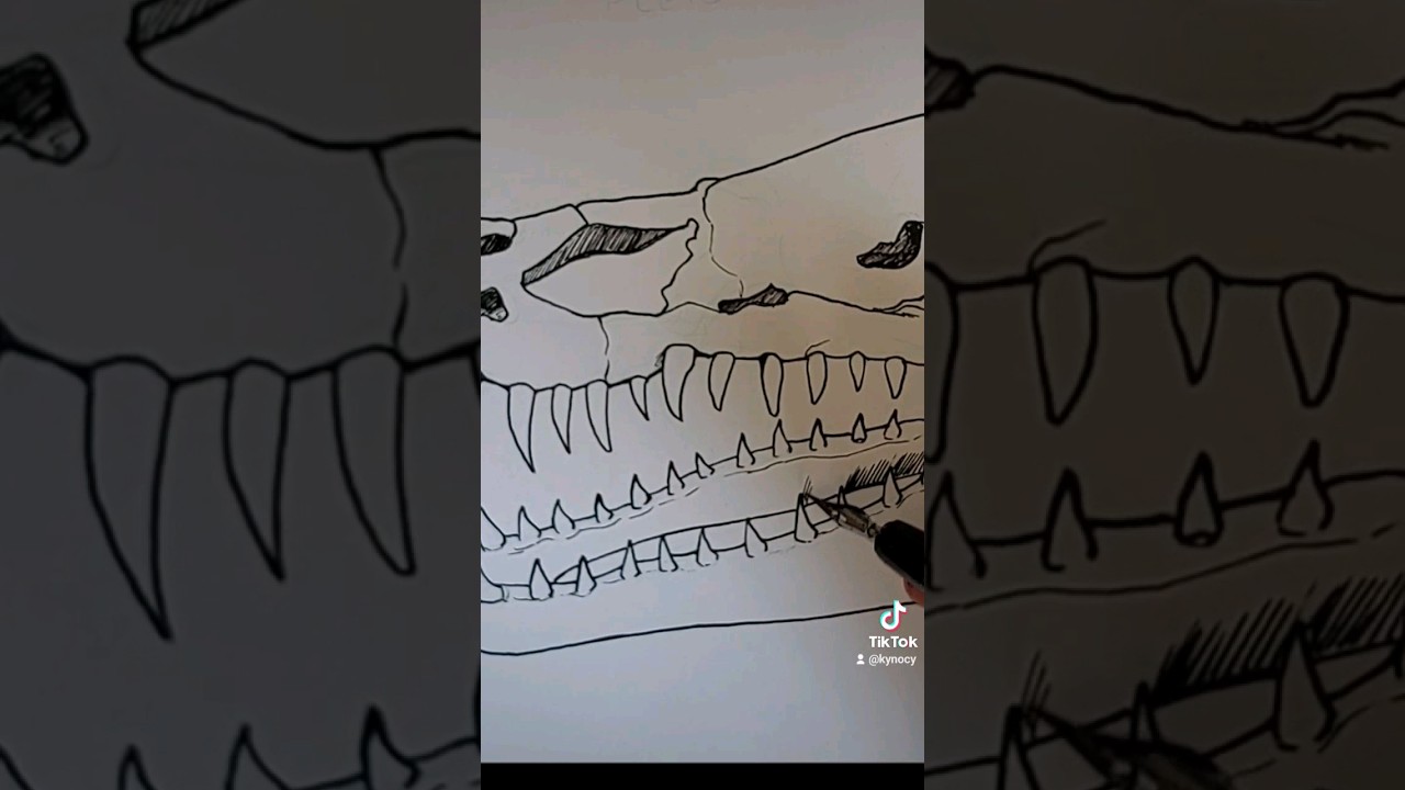 Day 22: Plesiosaurus ••• #art #drawing #ink #dinosaur #inkdrawing #inktober #fossil #skull