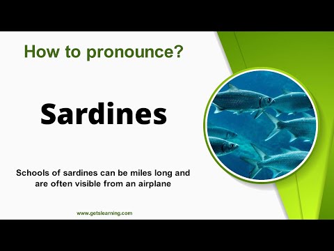 How to pronounce Sardines in English correctly