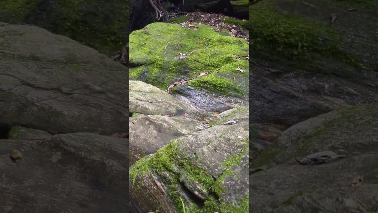 this is it #shortsviral #nature #boundless #trendingnow