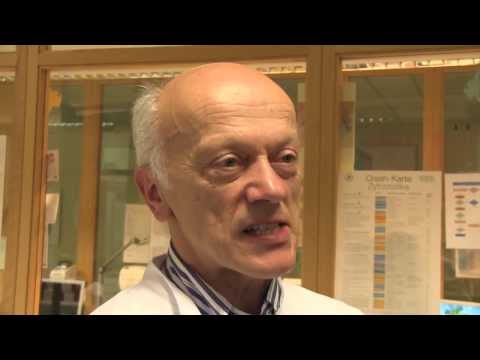 Science Cafe: Stem Cells
