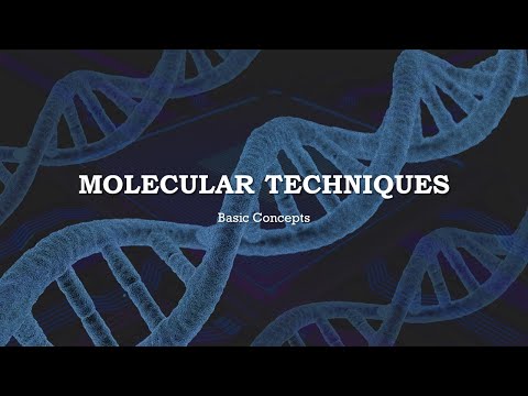 Molecular Techniques: Basic Concepts