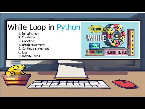 Understanding the While Loop in Python 2024
