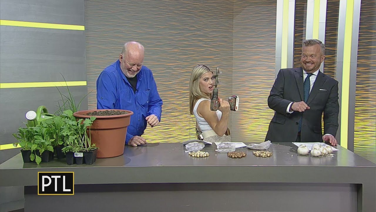 Doug Oster's tips for planting bulbs in the fall