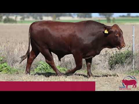 LOT 16 A (SUPP I) SEI230643