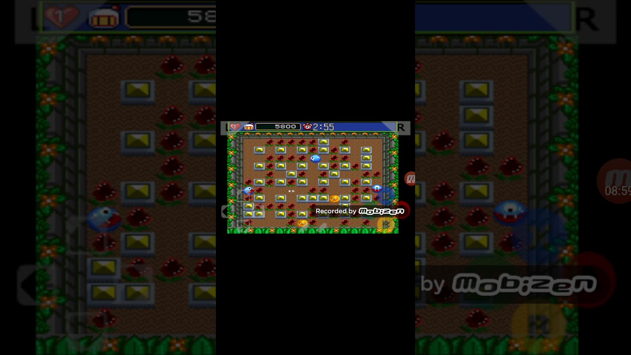 Os cangurus/Bomberman 5