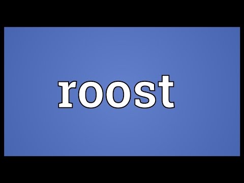 Roost Meaning