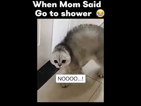 shower meme🤣🤣🤣🤣#Shorts