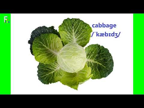 cabbage , How to pronounce vegetable?