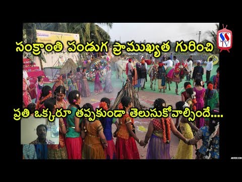 importance of sankranthi festival |what is the meaning of pongal |sankranti|pongal|kanuma| ss tv