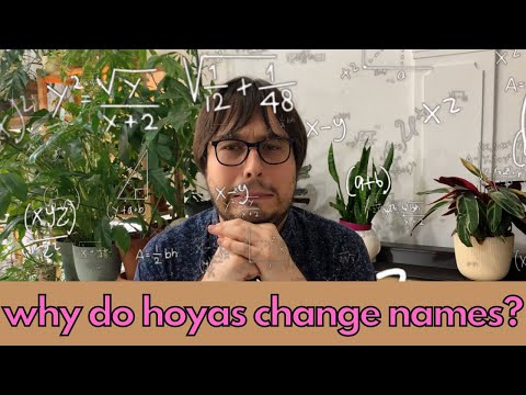 Why Do Hoyas Change Name and Why Does it Matter?