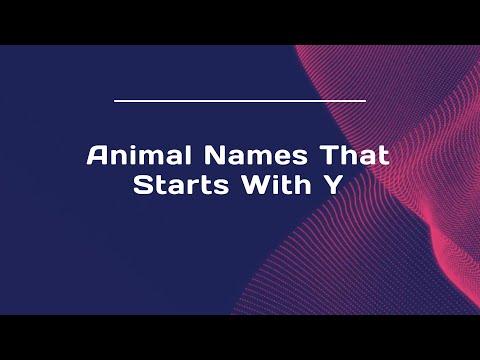 Animal Names That Starts With Y