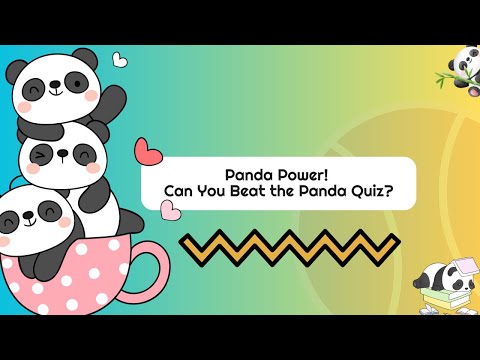 Panda Quiz Time! Can You Guess All the Answers? 🐼
