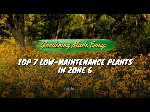 Gardening Made Easy: Top 7 Picks for Low Maintenance Plants in Zone 6 π»πΈπ·