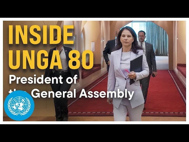 UNGA80 | UN News