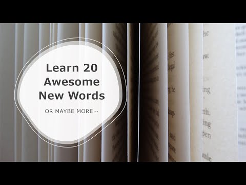 How Quickly Can You Learn 20 New Words?