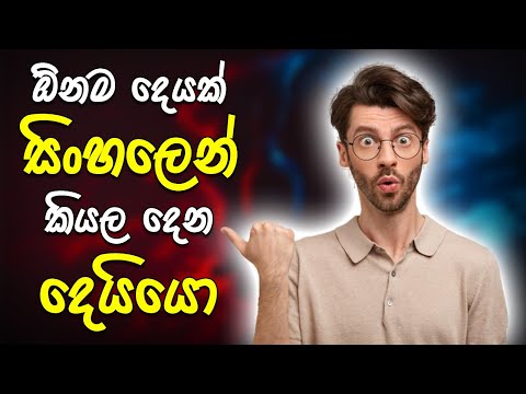 ඕනම දෙයක් සිංහලෙන්ම දැනගන්න පුලුවන් LinguaGPT | Sinhala AI Chat Bot Like Chat GPT | Chat GPT Sinhala