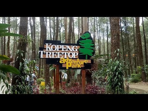 Kopeng TREETOP Adventure Park, Getasan, Kab Semarang