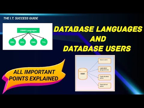 What are different Database languages? | Different users in database | Database administrator