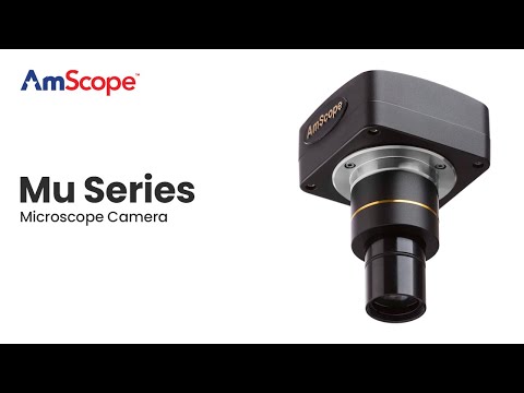 In AmScope MU500CK 50 MP USB Microscope Camera Software | umteenthstead