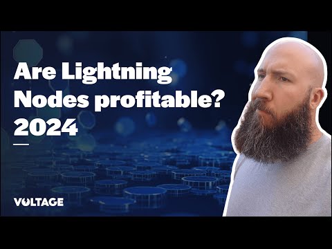 Are Lightning Nodes Profitable in 2024?